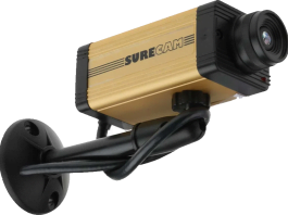 World’s Worst CCTV Cameras | SEN.news - No. 1