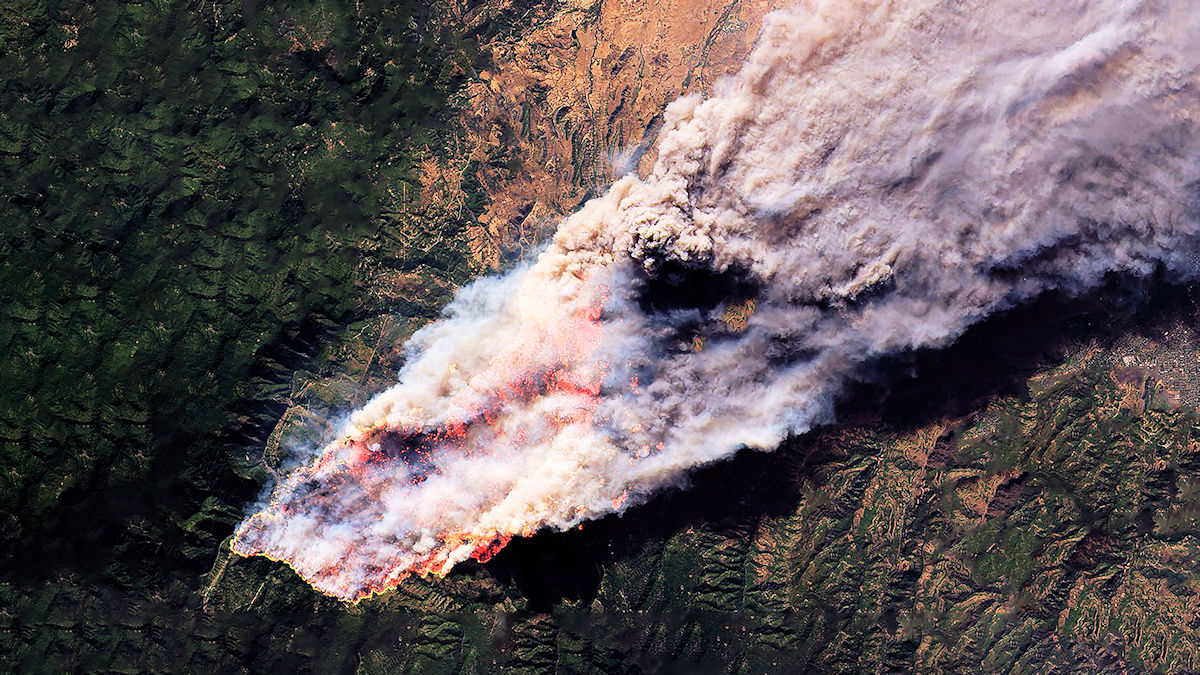 AI Camera Bushfire Detection | SEN.news - No. 1