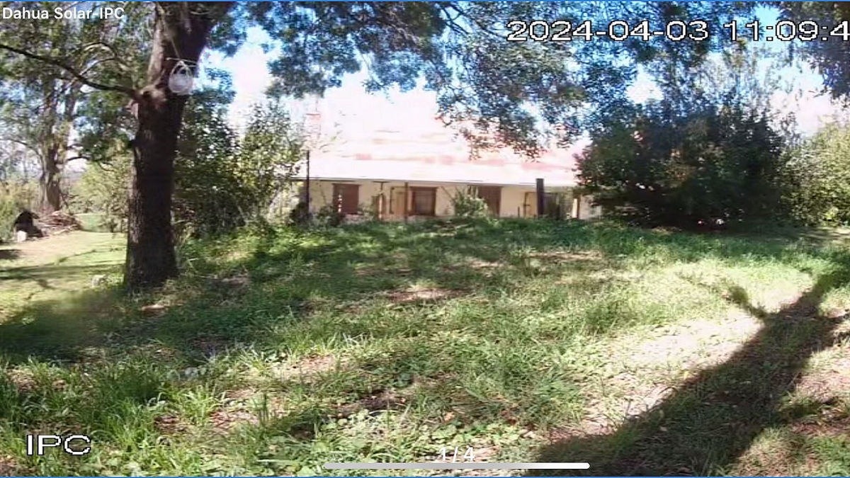 Possum Highlights Alarm CCTV Importance | SEN.news - No. 1