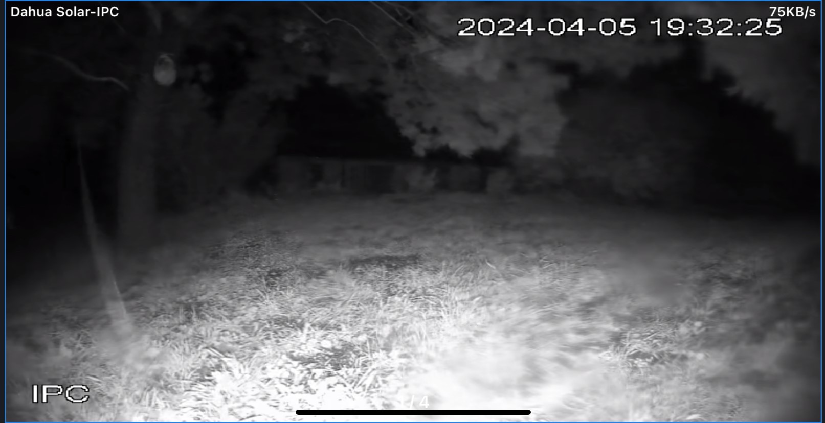 Possum Highlights Alarm CCTV Importance | SEN.news - No. 1