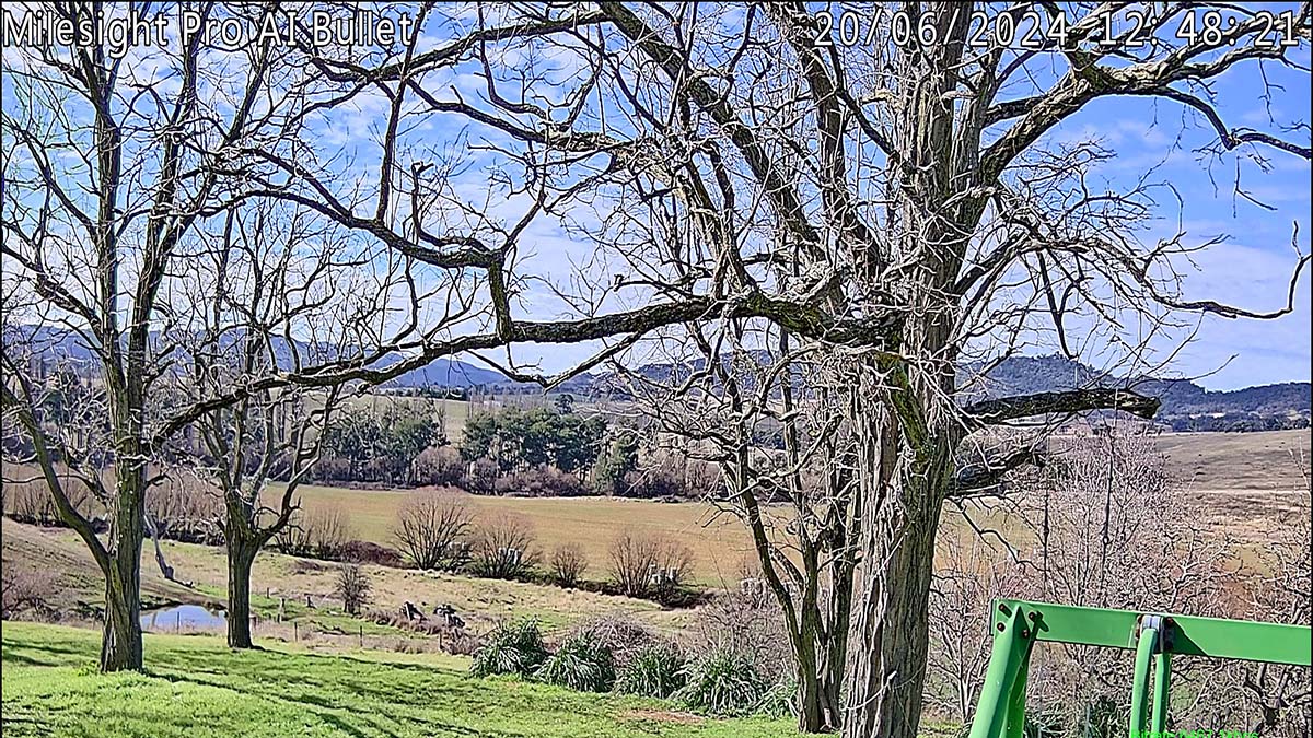 Milesight 5G AI Pro Bullet Camera First Impressions | SEN.news - No. 1