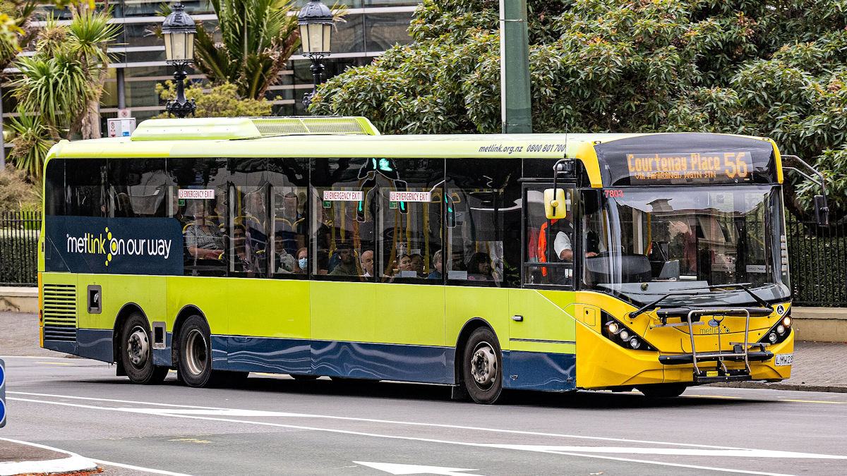 Red Wolf Wins Metlink CCTV | SEN.news - No. 1