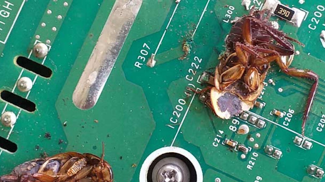 Sensor Cockroach Infestation | SEN.news - No. 1